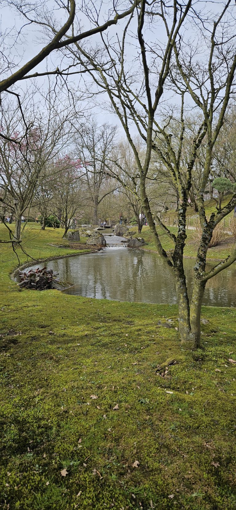 Japanse Tuin in Hasselt bezoeken met kids (review)